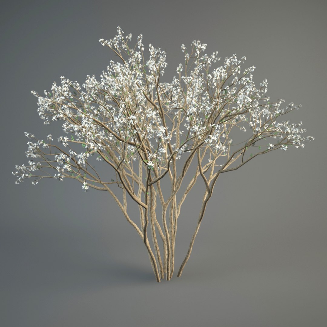 2 Juneberry Tree Landscape 3D Model - TurboSquid 1447059