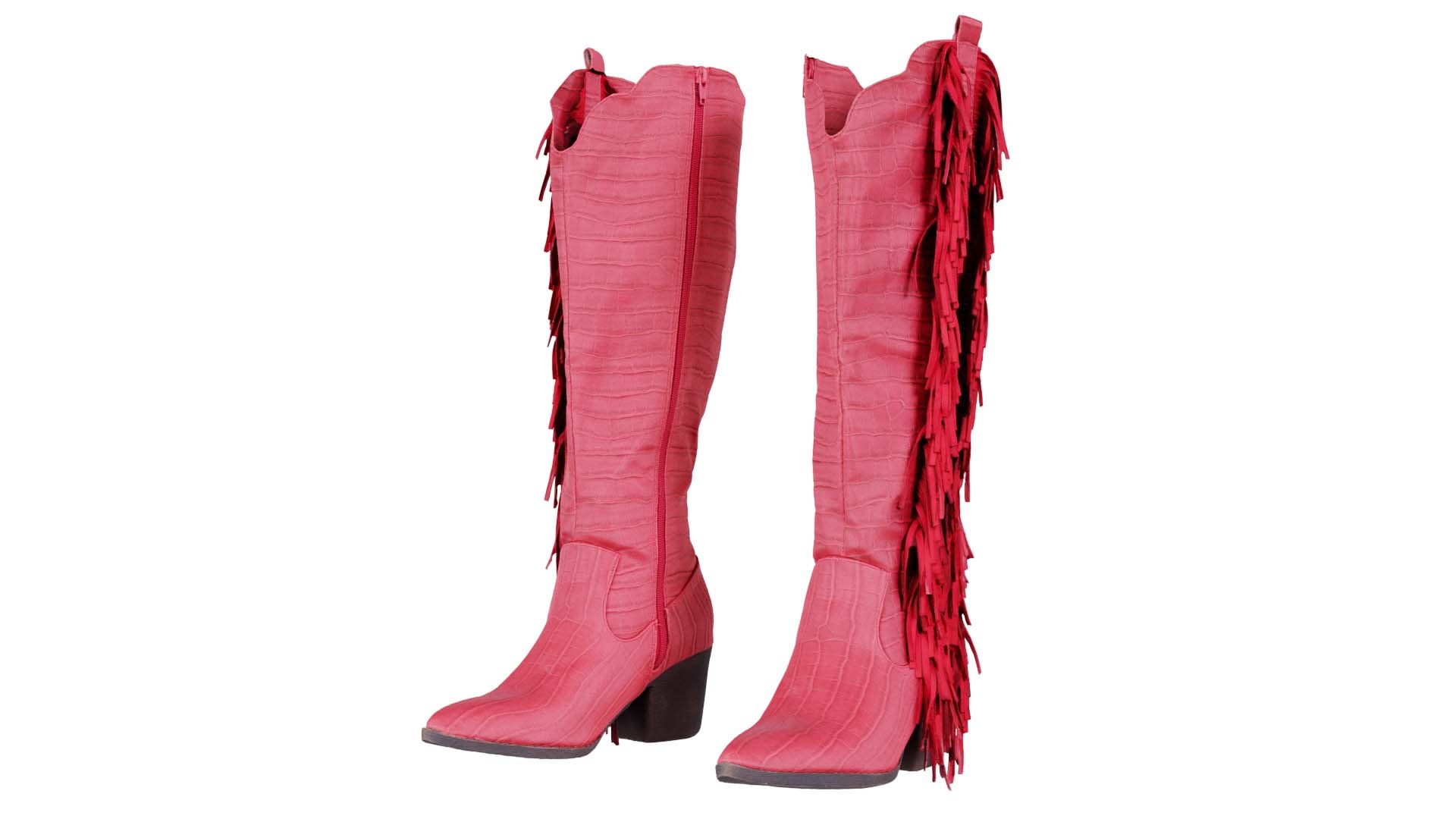 Cowboy Snake Boots Remastered 3D Model - TurboSquid 2360981