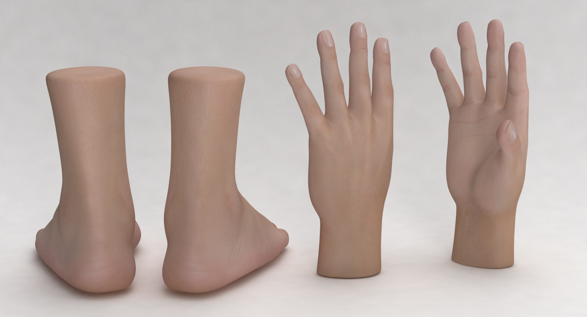 Realistic Hand Foot 3ds