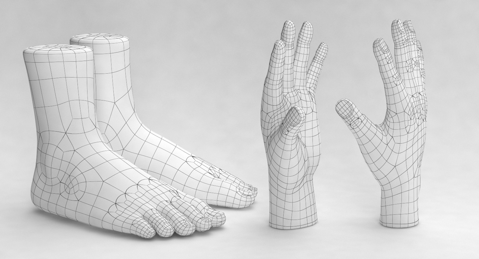 Realistic Hand Foot 3ds