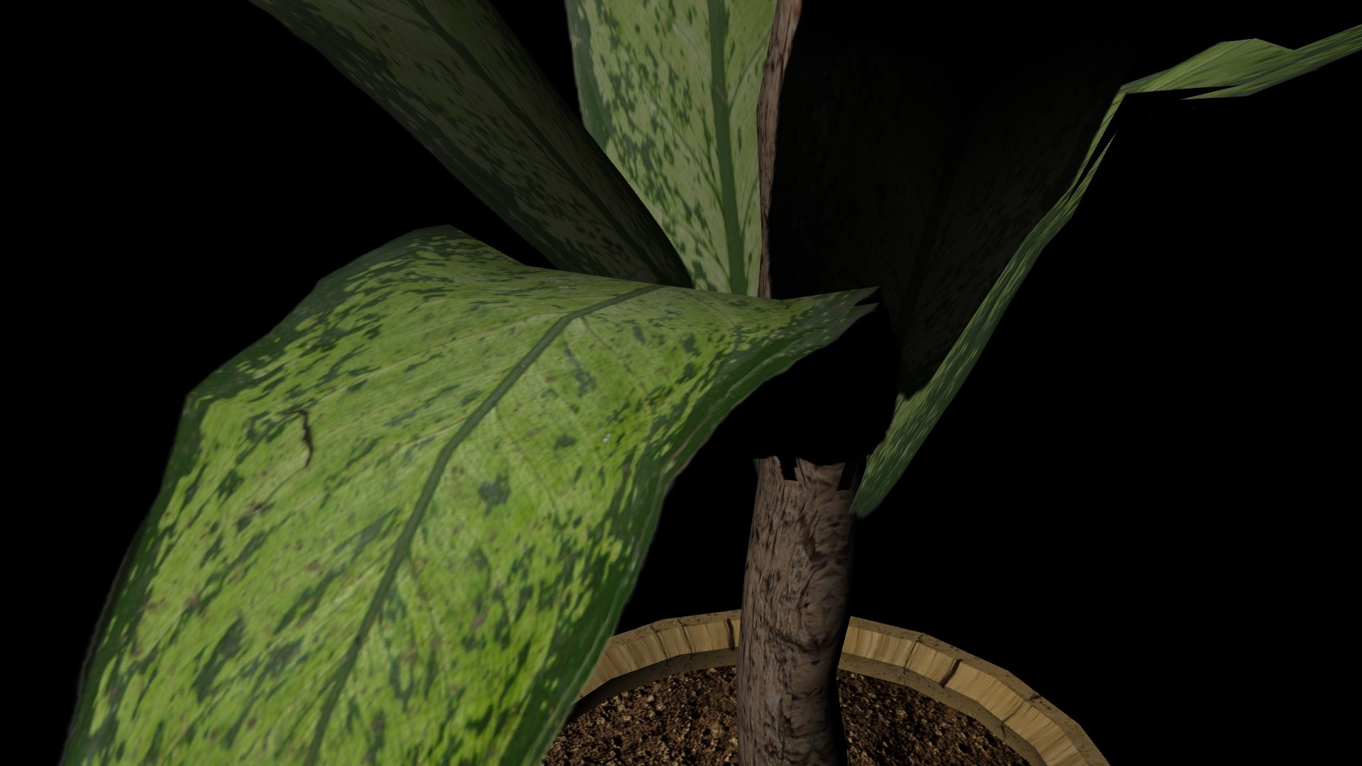 Tropical Plant Obj Free