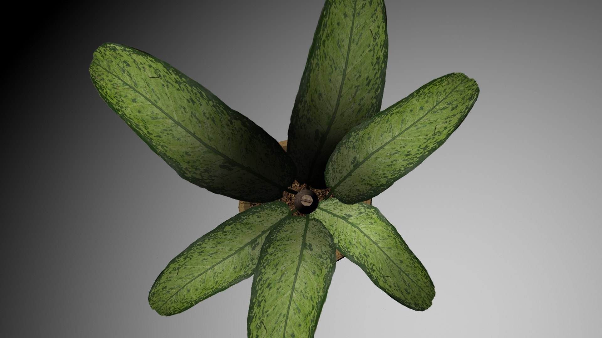 Tropical Plant Obj Free
