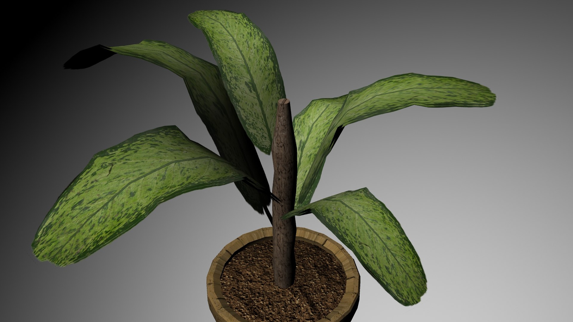 Tropical Plant Obj Free