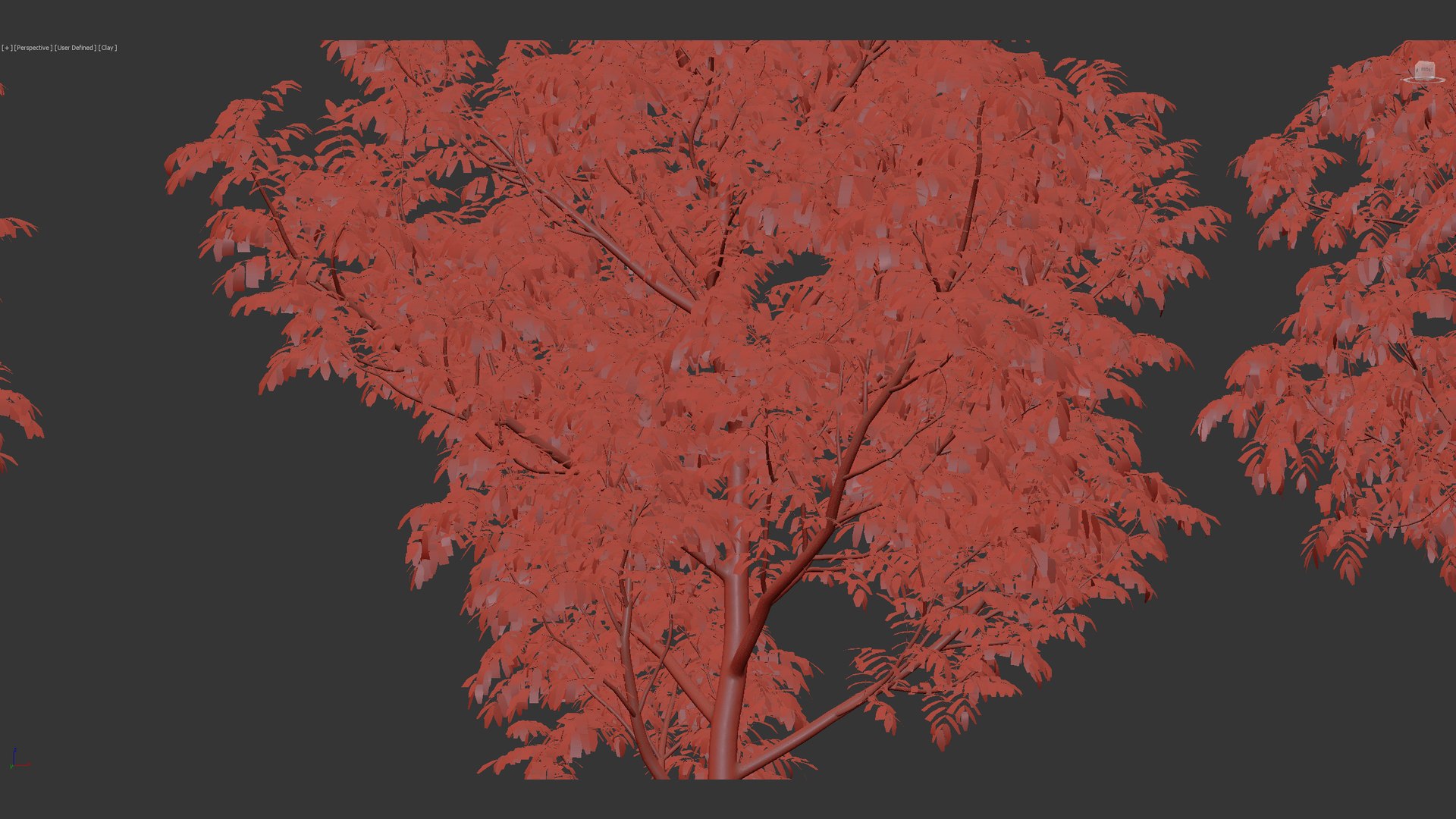 3D Fraxinus Excelsior European Ash 01 - TurboSquid 2081148