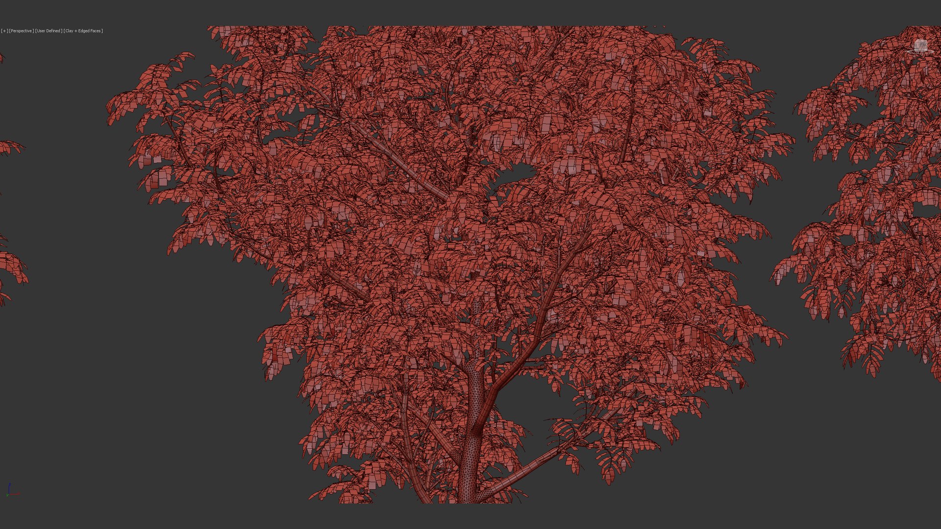 3D Fraxinus Excelsior European Ash 01 - TurboSquid 2081148