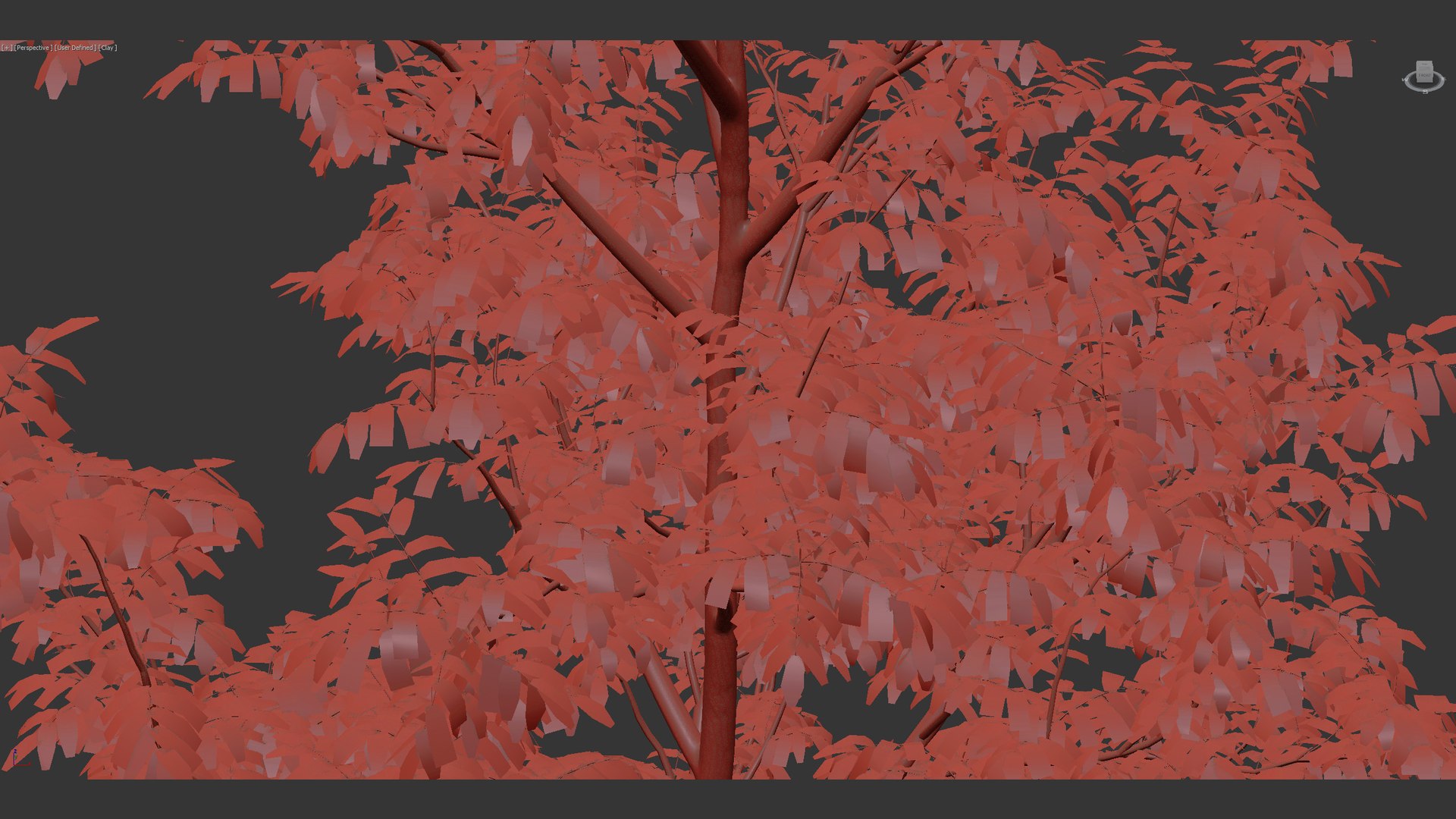 3D Fraxinus Excelsior European Ash 01 - TurboSquid 2081148