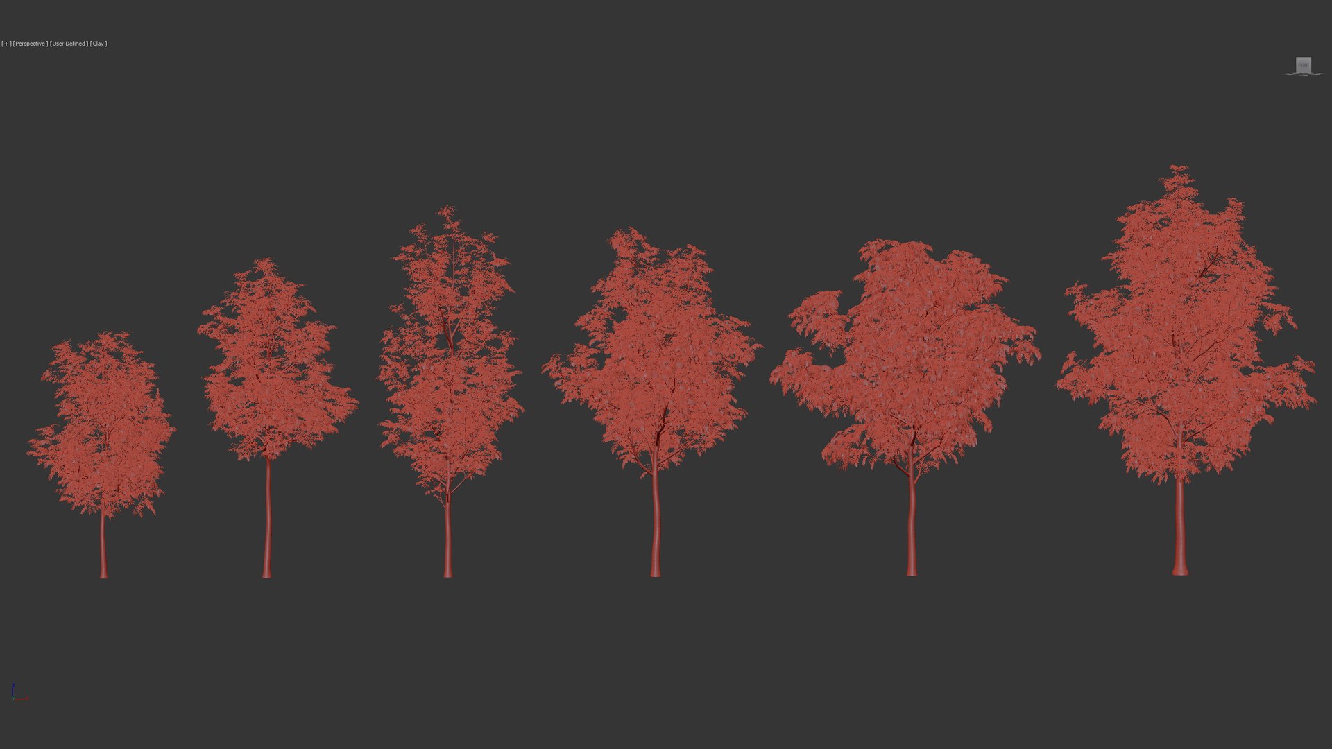 3D Fraxinus Excelsior European Ash 01 - TurboSquid 2081148