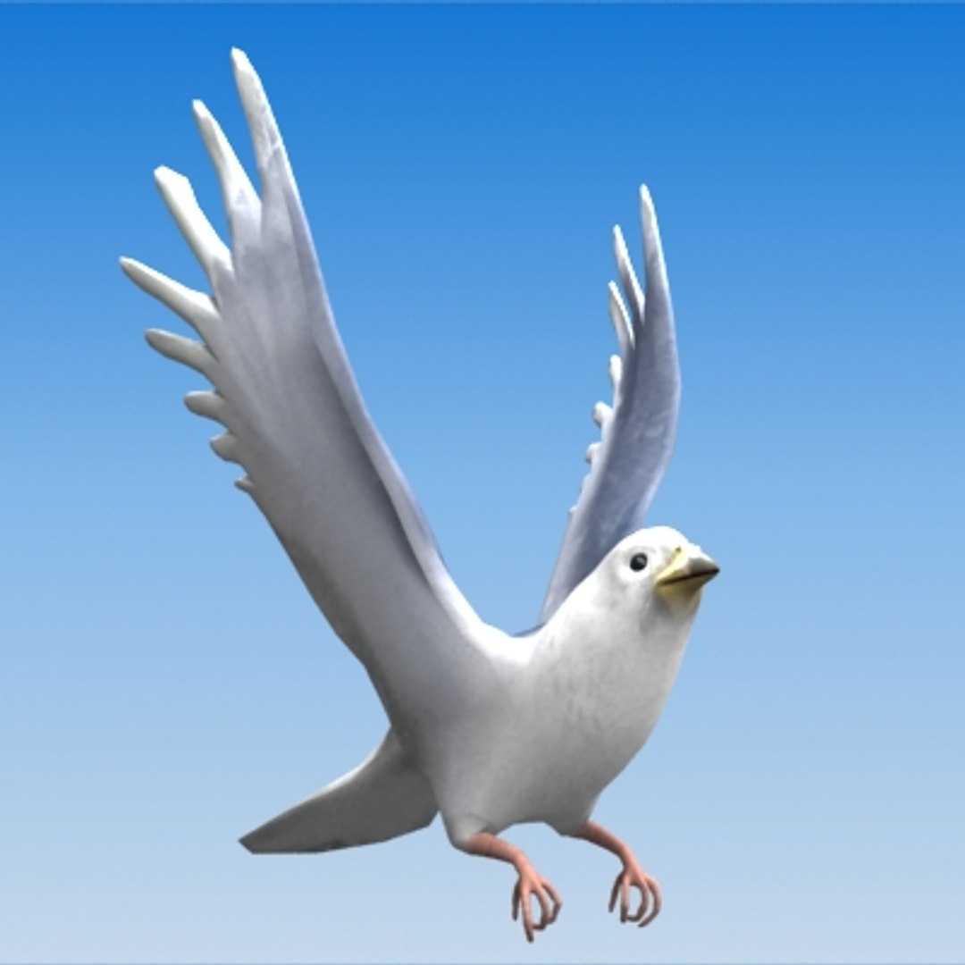 Rigged Pigeon 3d Model