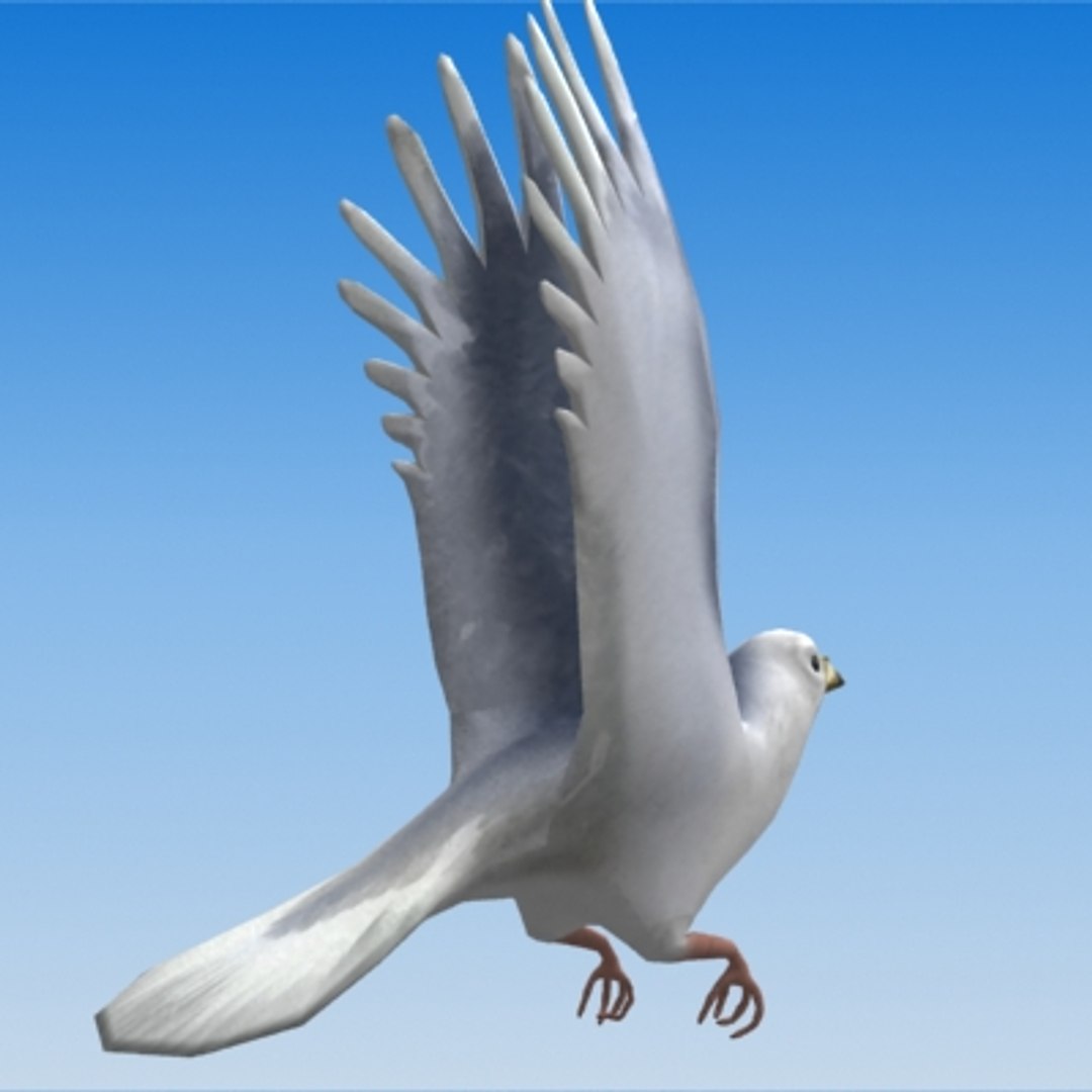 Rigged Pigeon 3d Model