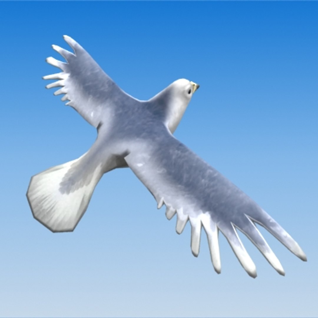 Rigged Pigeon 3d Model