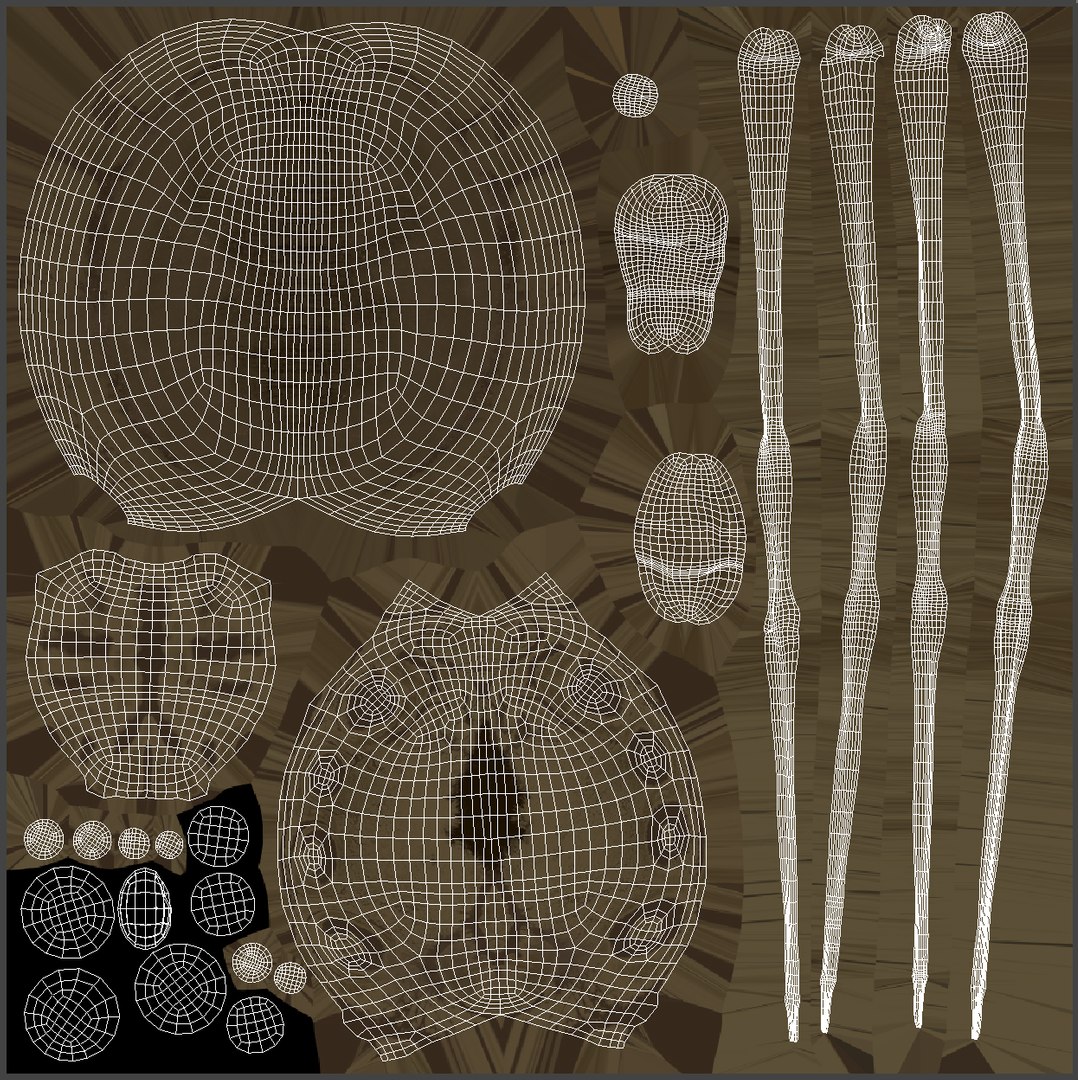 3D Daddy Long Legs Static - TurboSquid 1991984