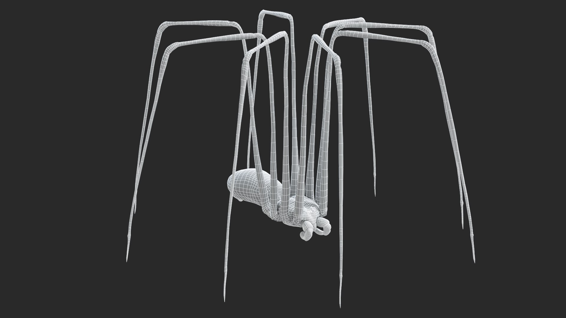 3D Daddy Long Legs Static - TurboSquid 1991984