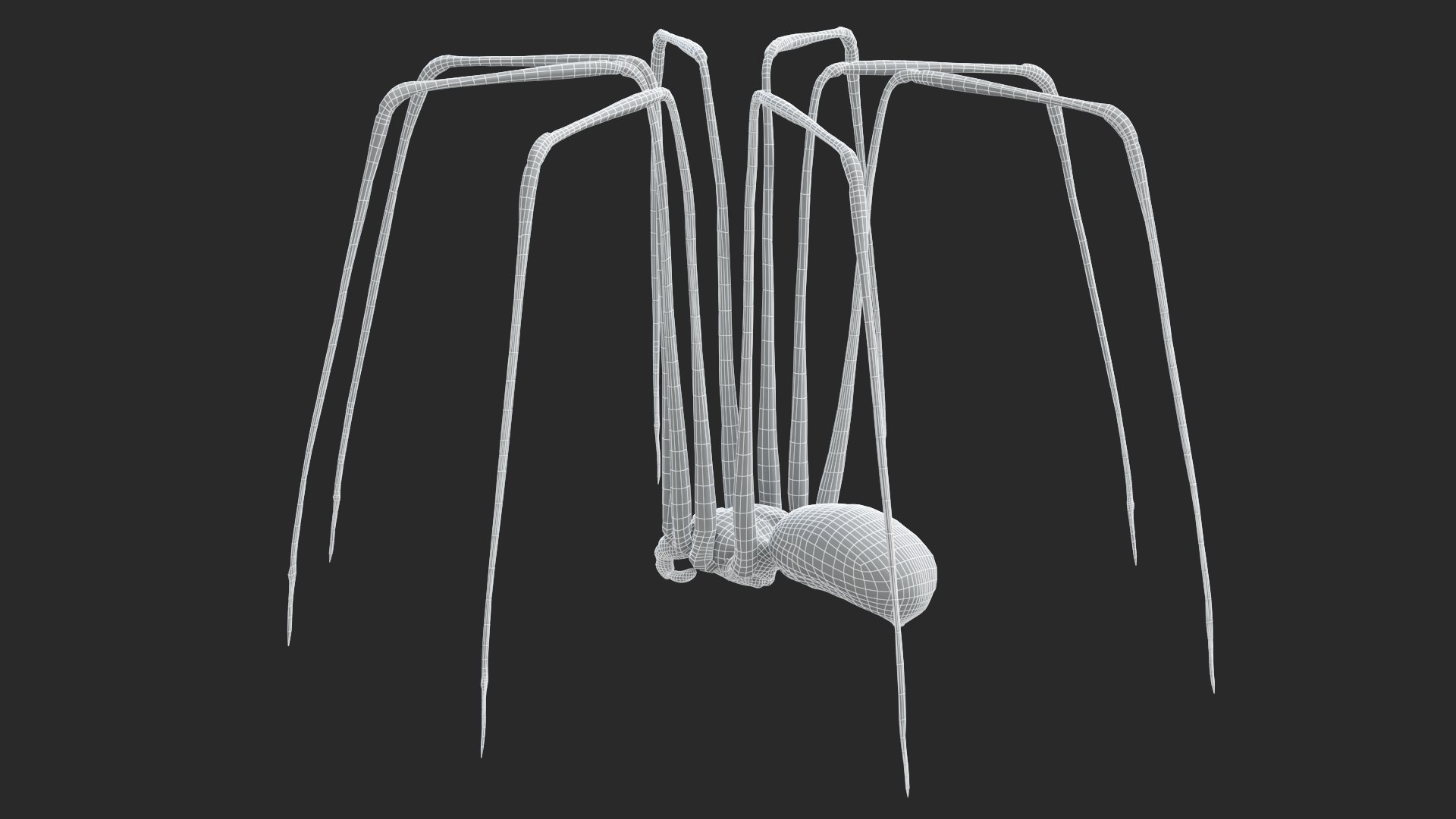 3D Daddy Long Legs Static - TurboSquid 1991984