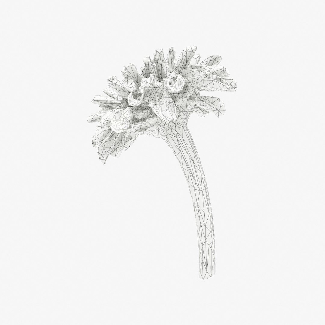 3D Green Elegant Zinnia Model - TurboSquid 1451633