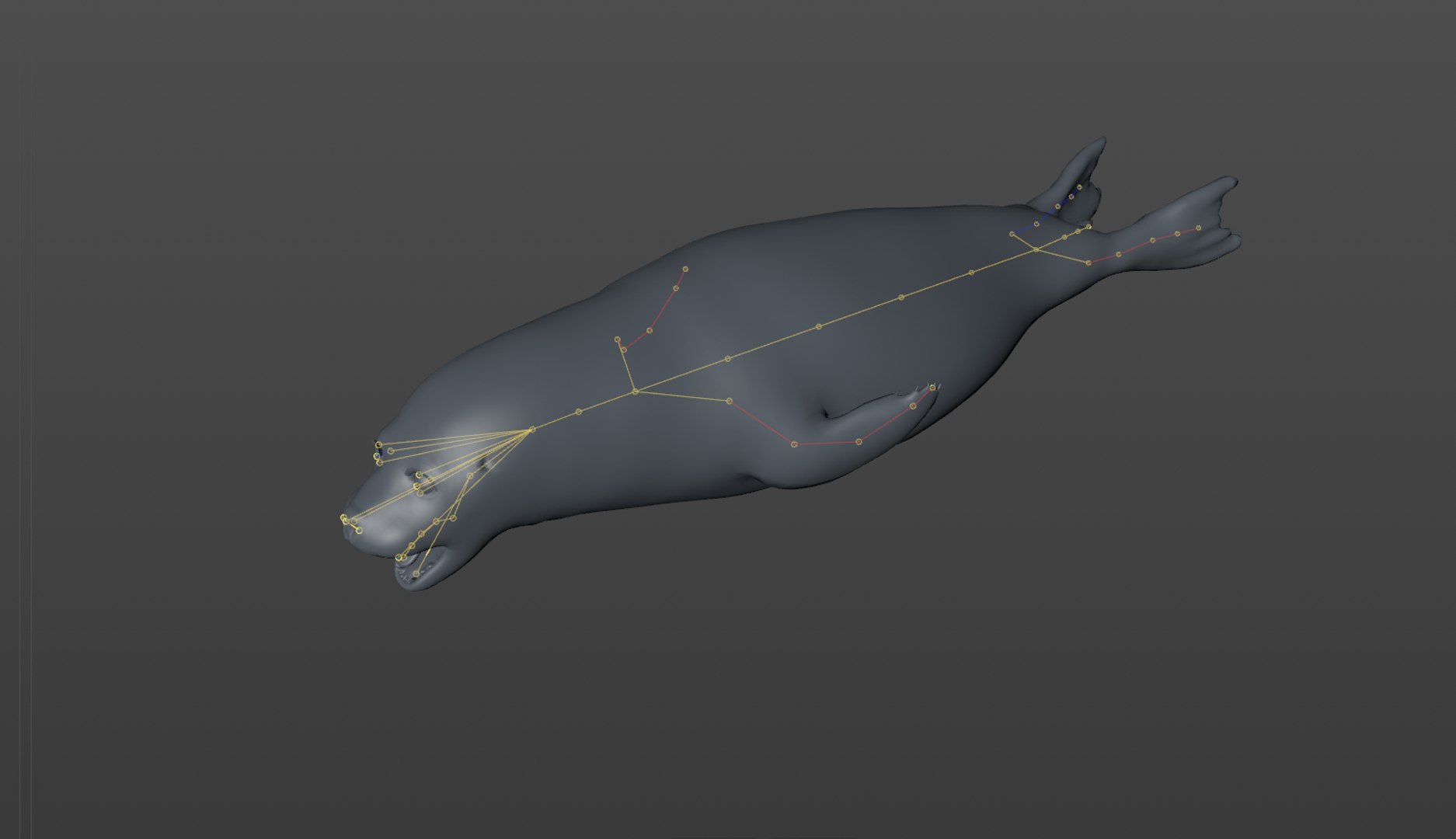 Seal 3D Model - TurboSquid 1471005