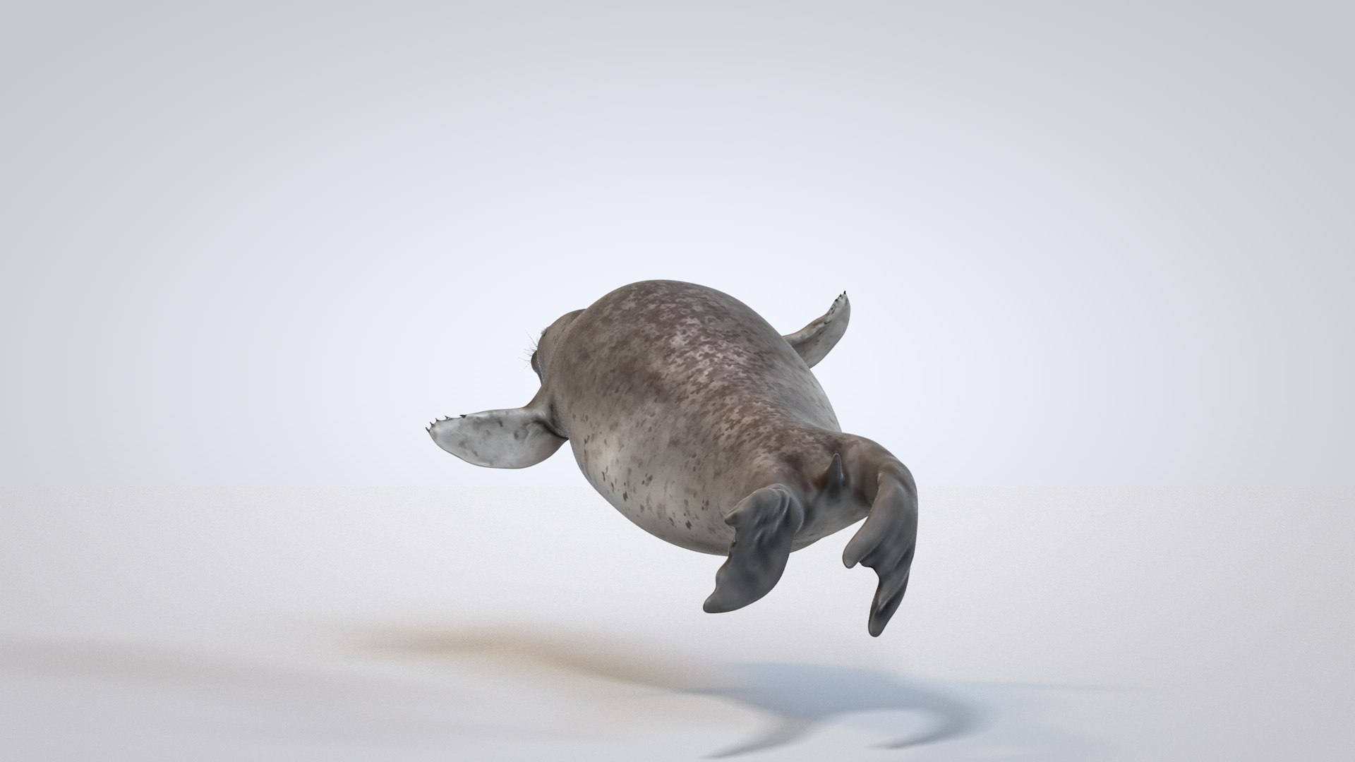Seal 3D Model - TurboSquid 1471005