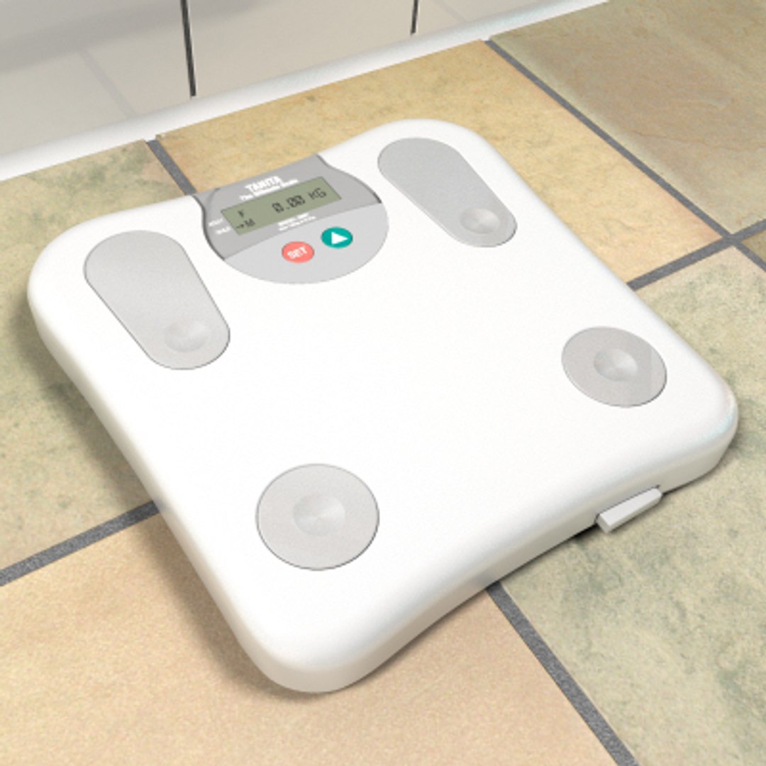 3d Bathroom Scale Model