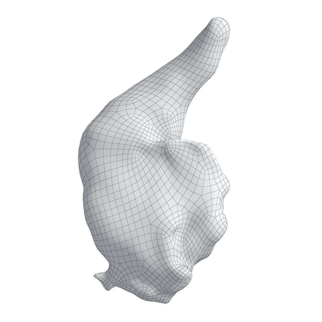 3d Model Crispy Chicken Leg