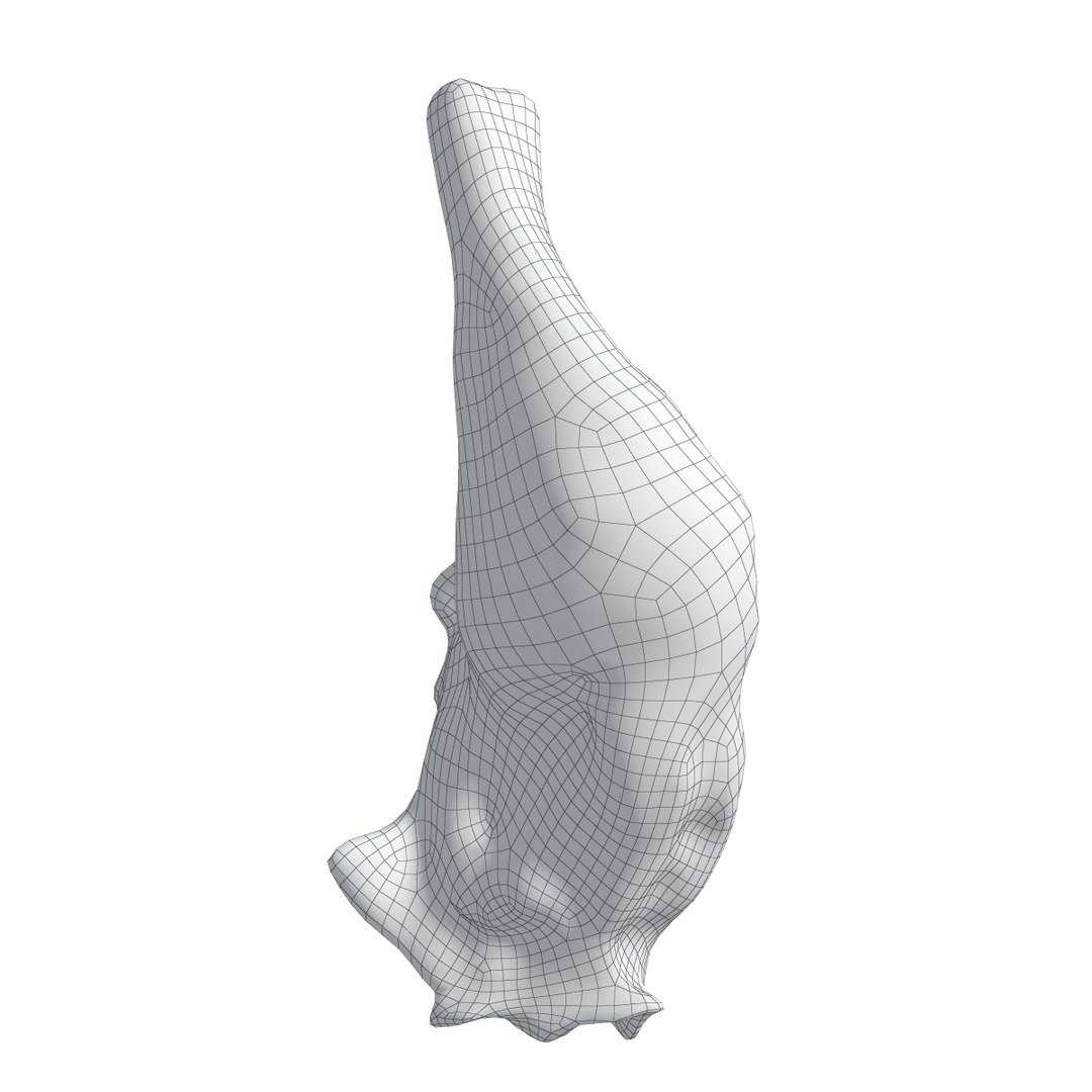 3d Model Crispy Chicken Leg