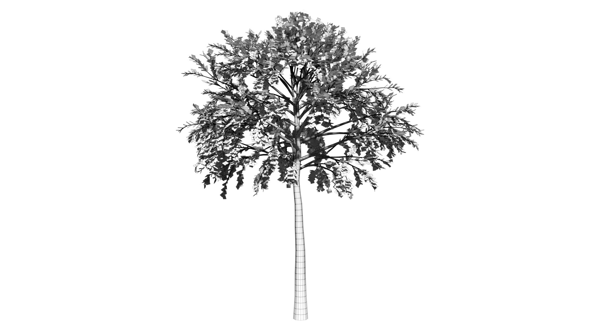 Free GenTree 103 Generic Tree 103 3D Model - TurboSquid 2062798