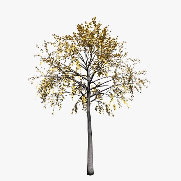 Free Low Poly Tree 3D Models for Download | TurboSquid