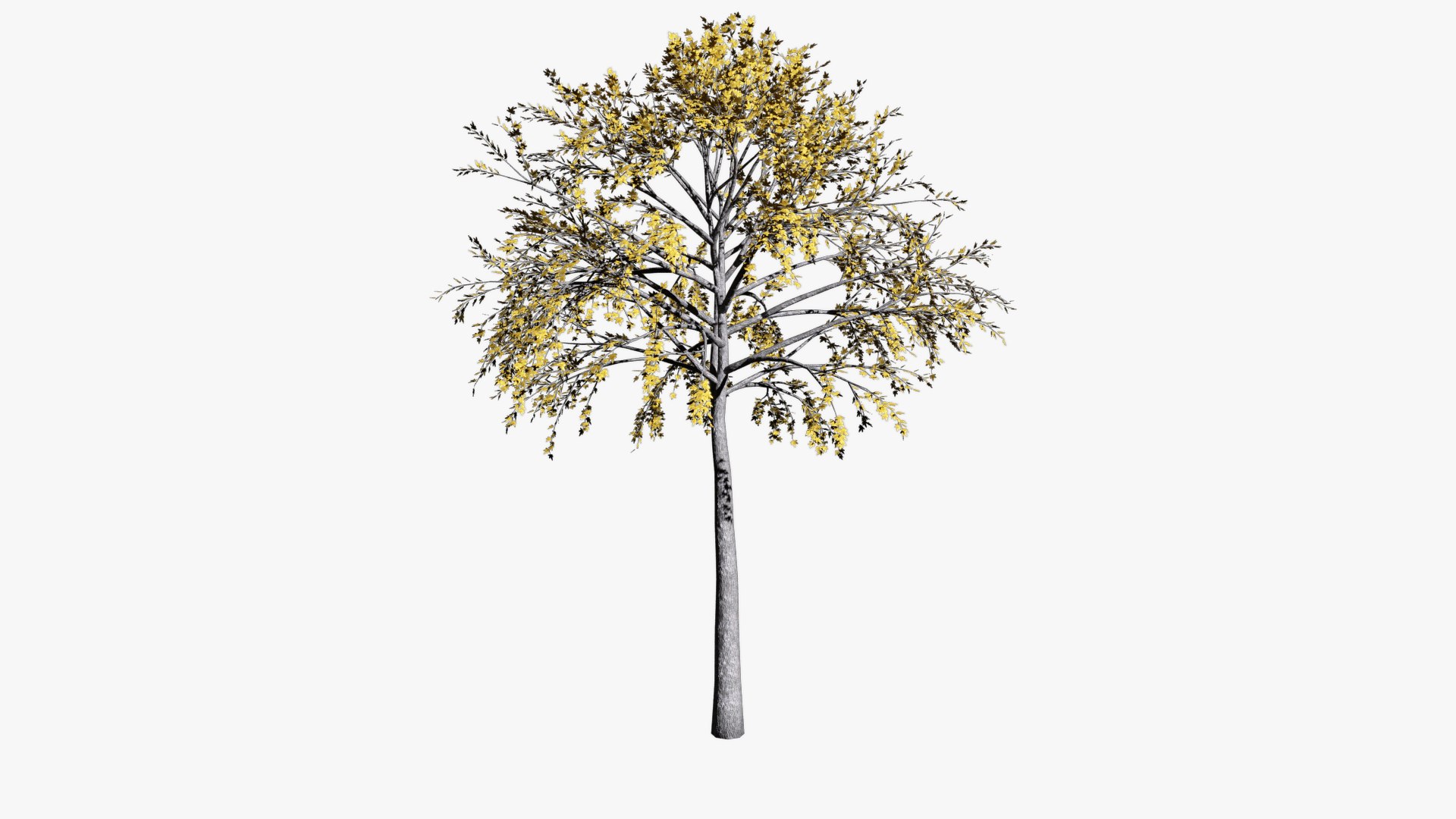Free GenTree 103 Generic Tree 103 3D Model - TurboSquid 2062798