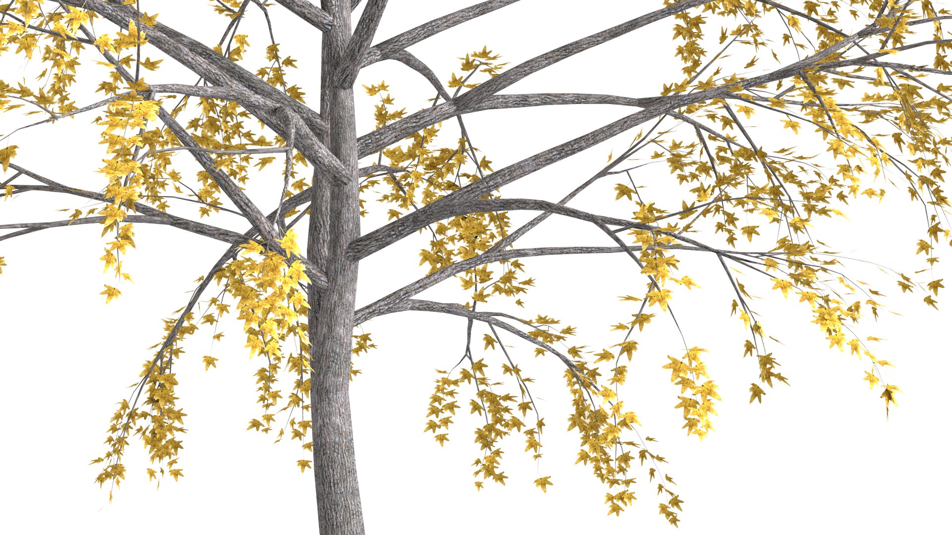 Free GenTree 103 Generic Tree 103 3D Model - TurboSquid 2062798