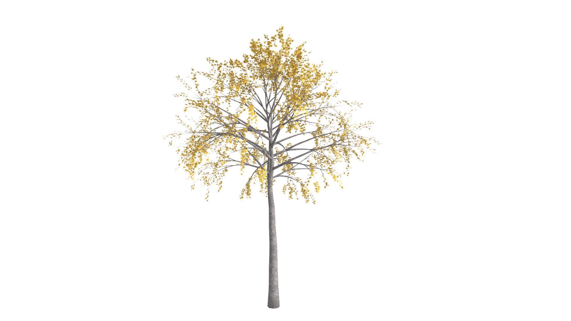 Free GenTree 103 Generic Tree 103 3D Model - TurboSquid 2062798