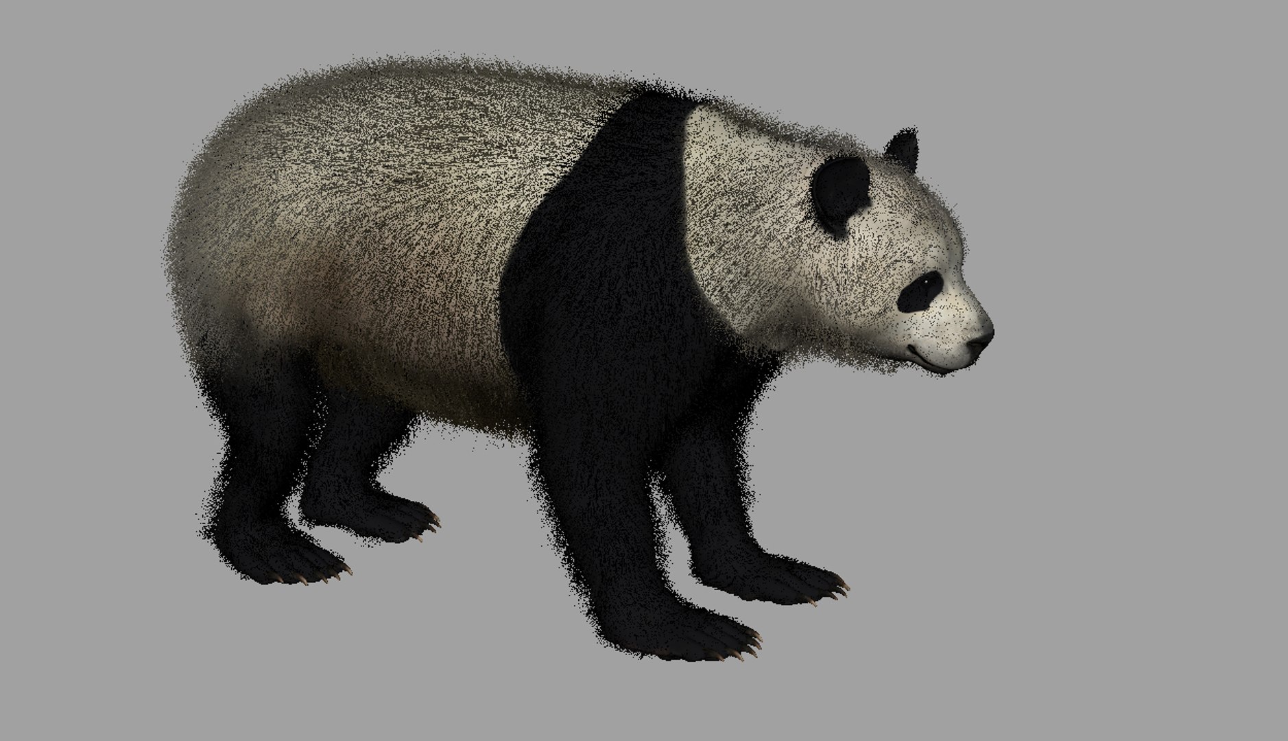 Panda Shave Fur Model - TurboSquid 1167988