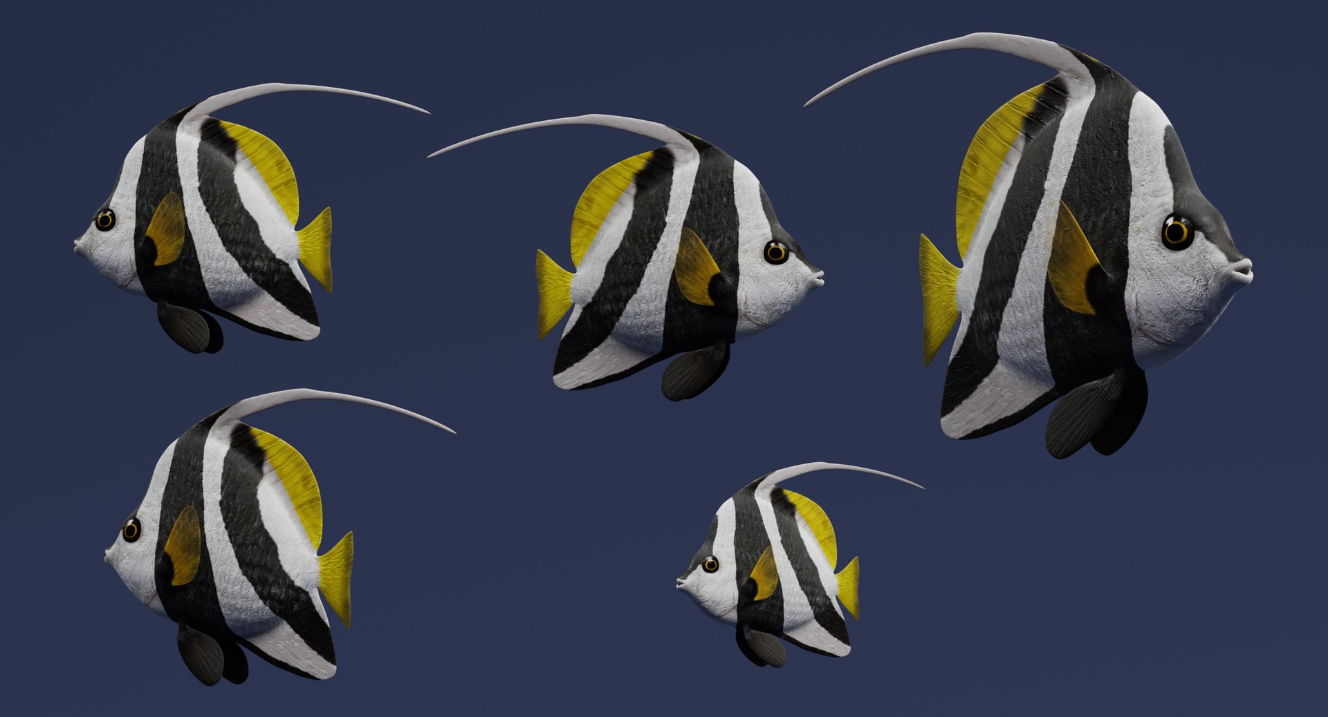 Longfin bannerfish 3D model - TurboSquid 1250108
