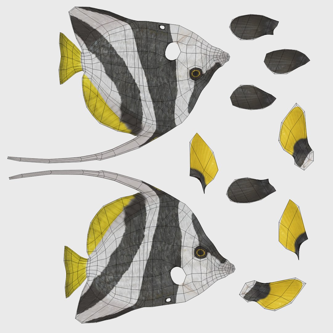 Longfin bannerfish 3D model - TurboSquid 1250108