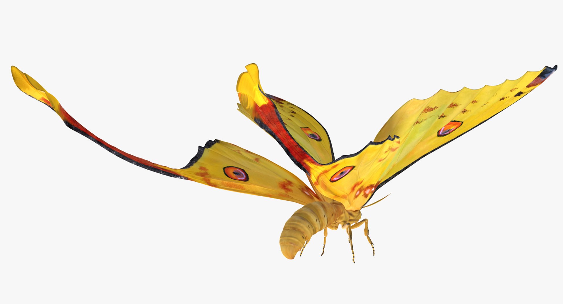 3d Model Comet Moth Flying Pose