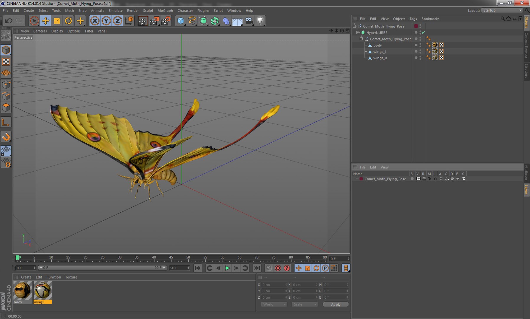 3d Model Comet Moth Flying Pose