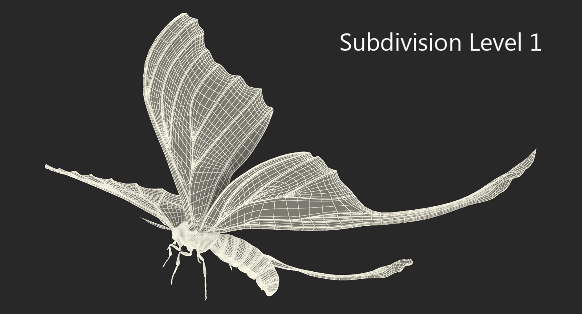 3d Model Comet Moth Flying Pose