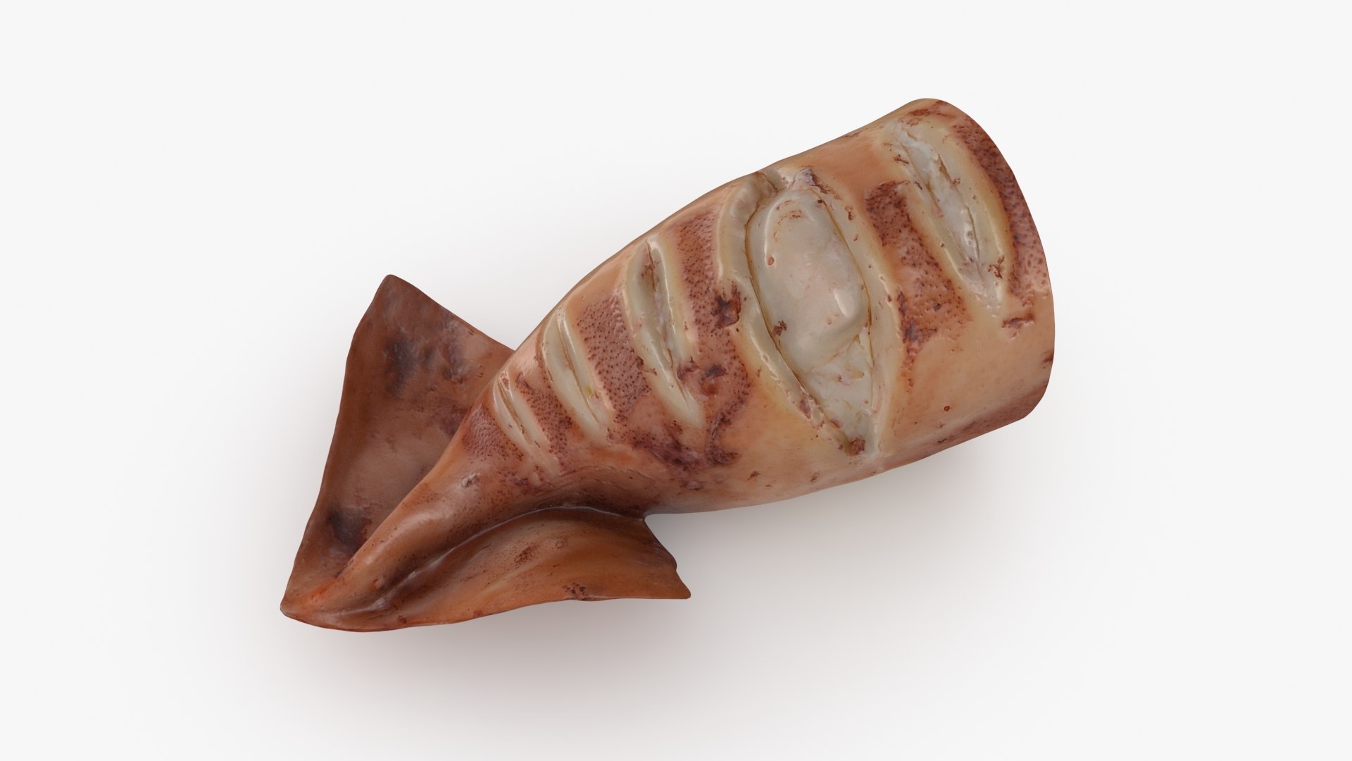 Grilled Squid Collection 3D Model - TurboSquid 2195040