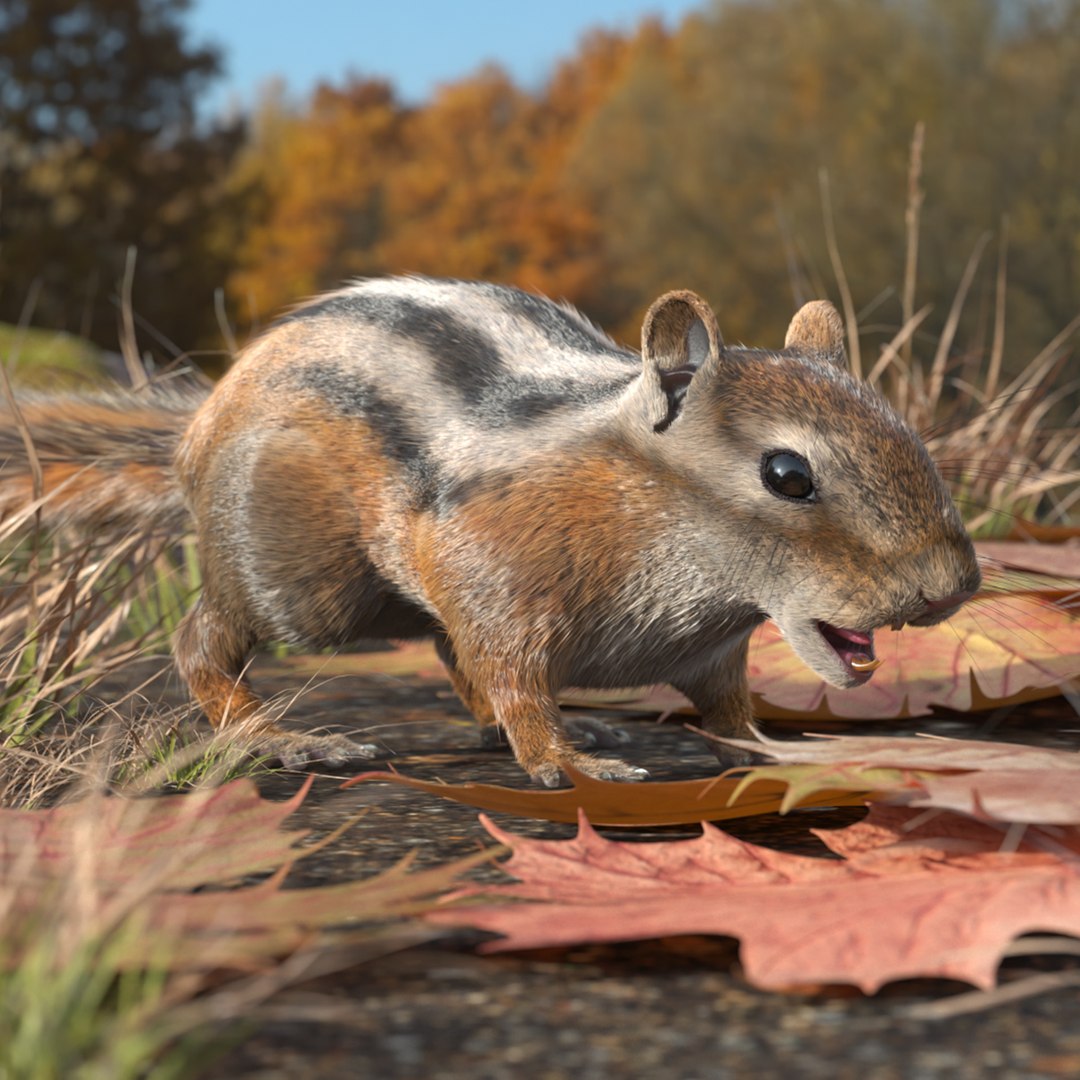 Forest Rodent Chipmunk Fur 3D Model - TurboSquid 2435130