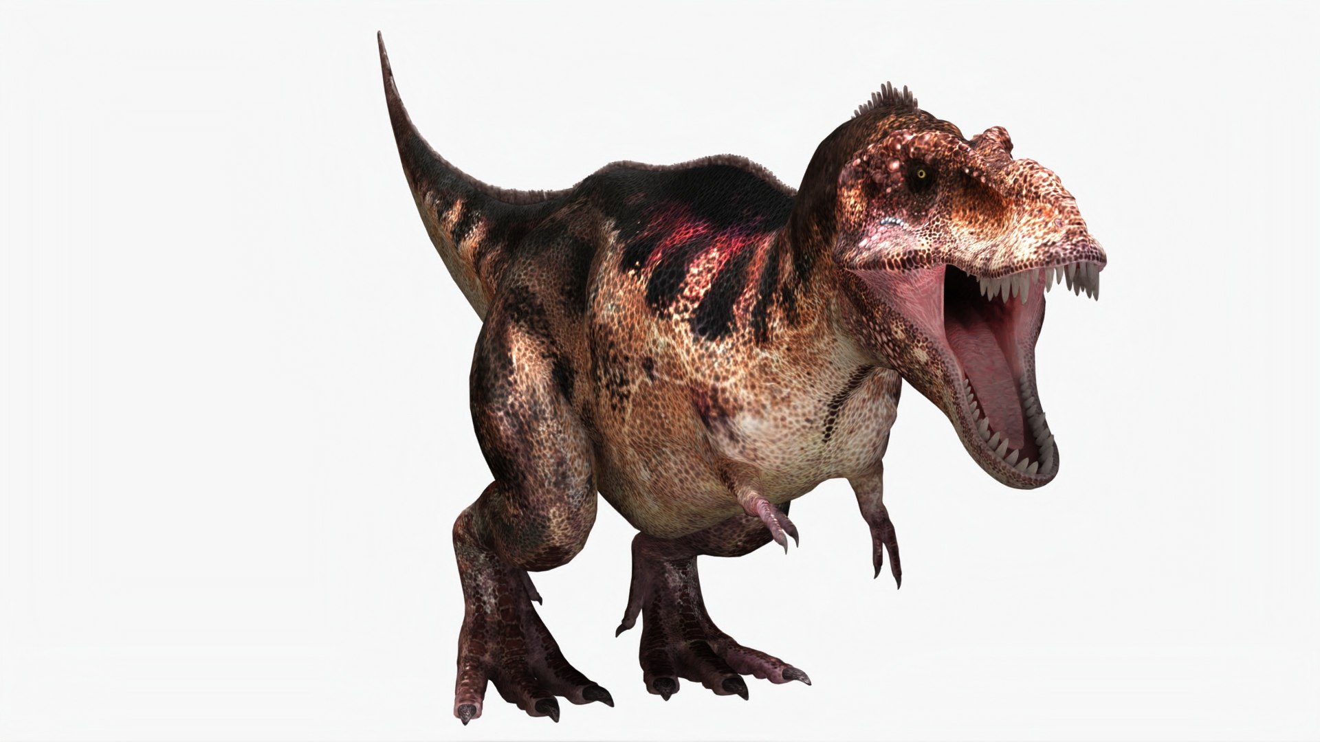 Rigged Tyrannosaurus Rex with 4K textures 3D model - TurboSquid 1969992