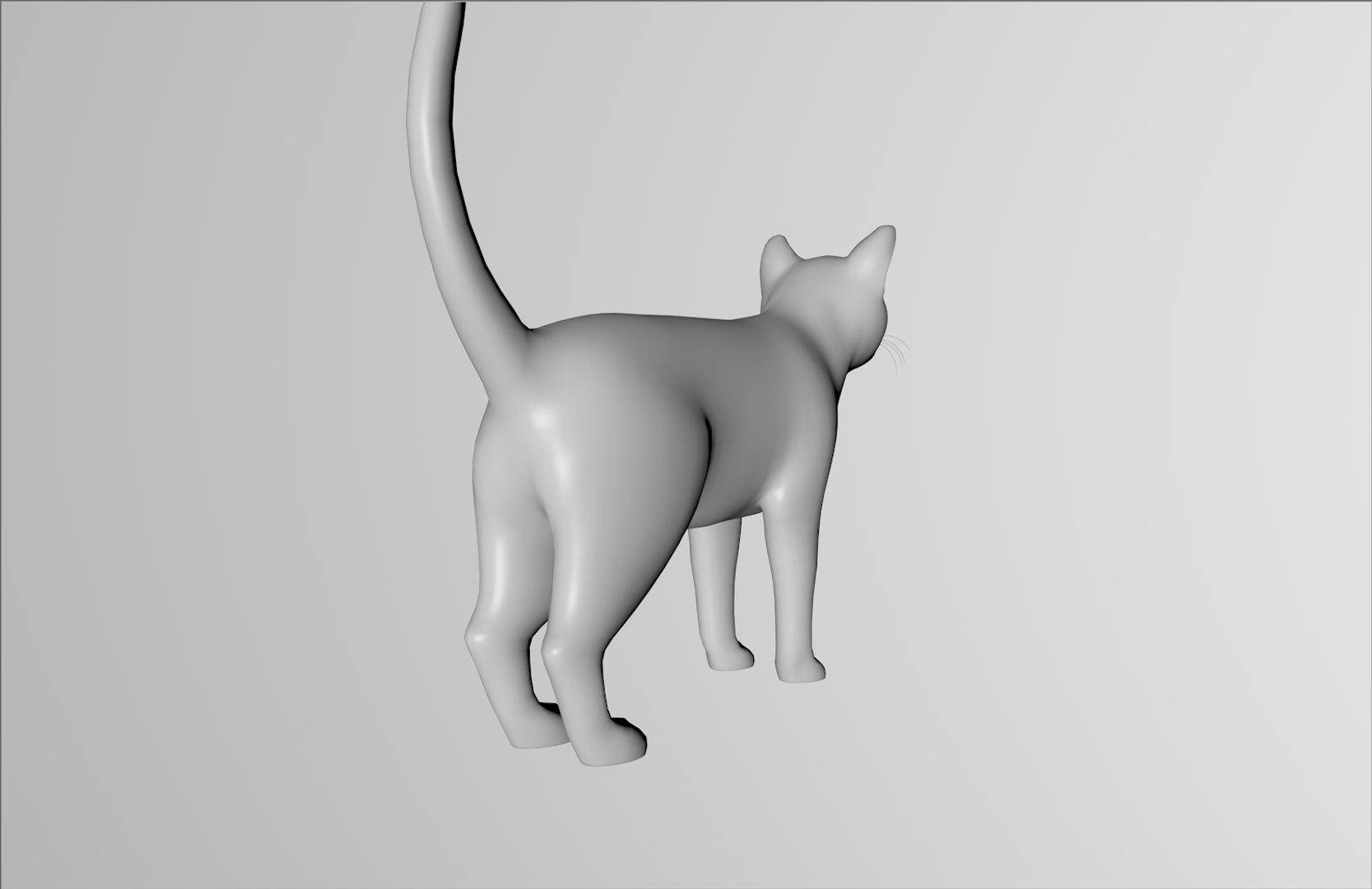 3d Cat