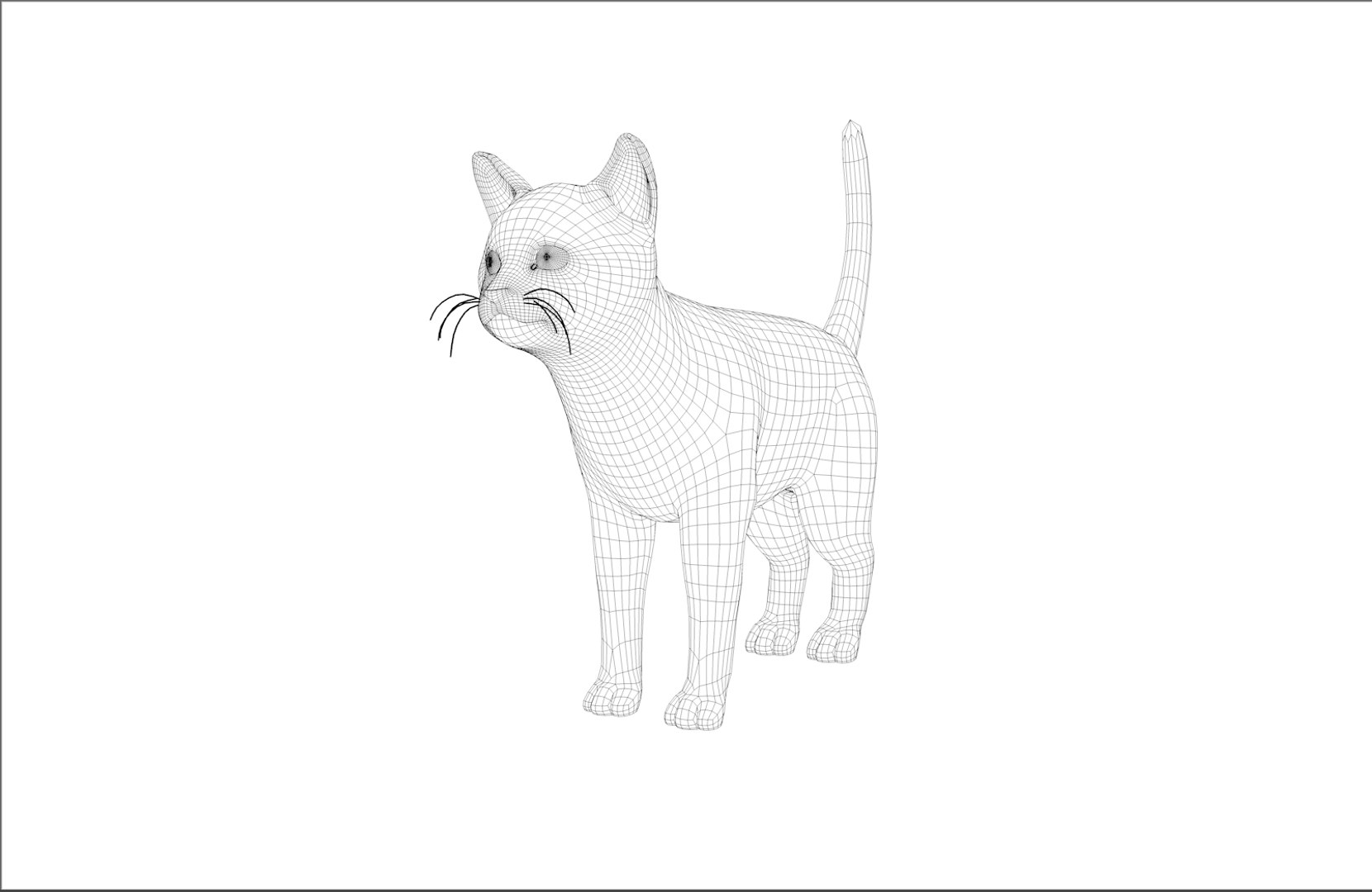 3d Cat