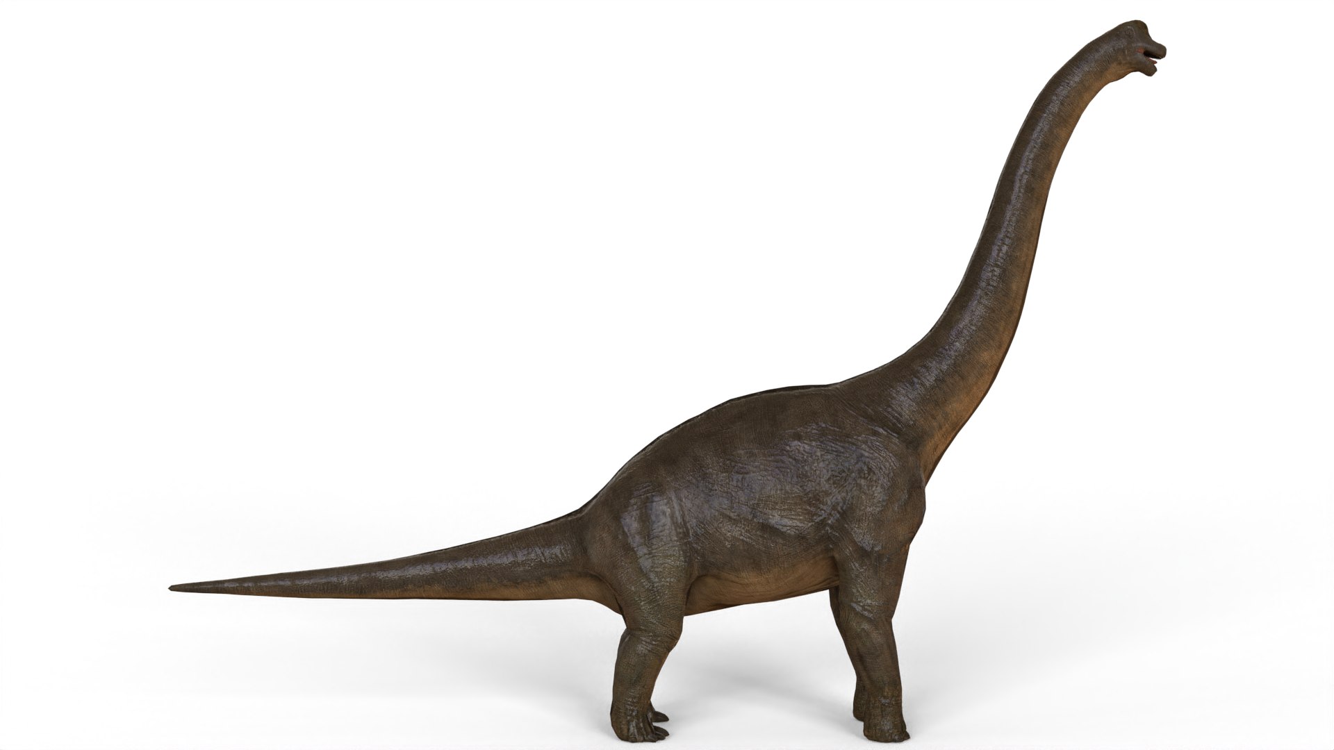 Brachiosaurus model - TurboSquid 2074466