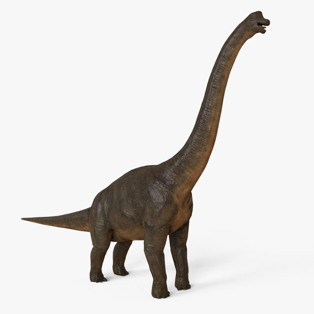 Brachiosaurus model - TurboSquid 2074466
