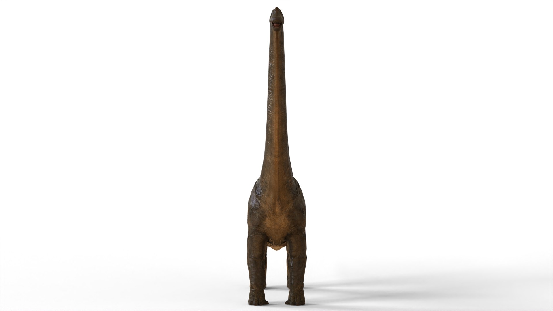 Brachiosaurus model - TurboSquid 2074466