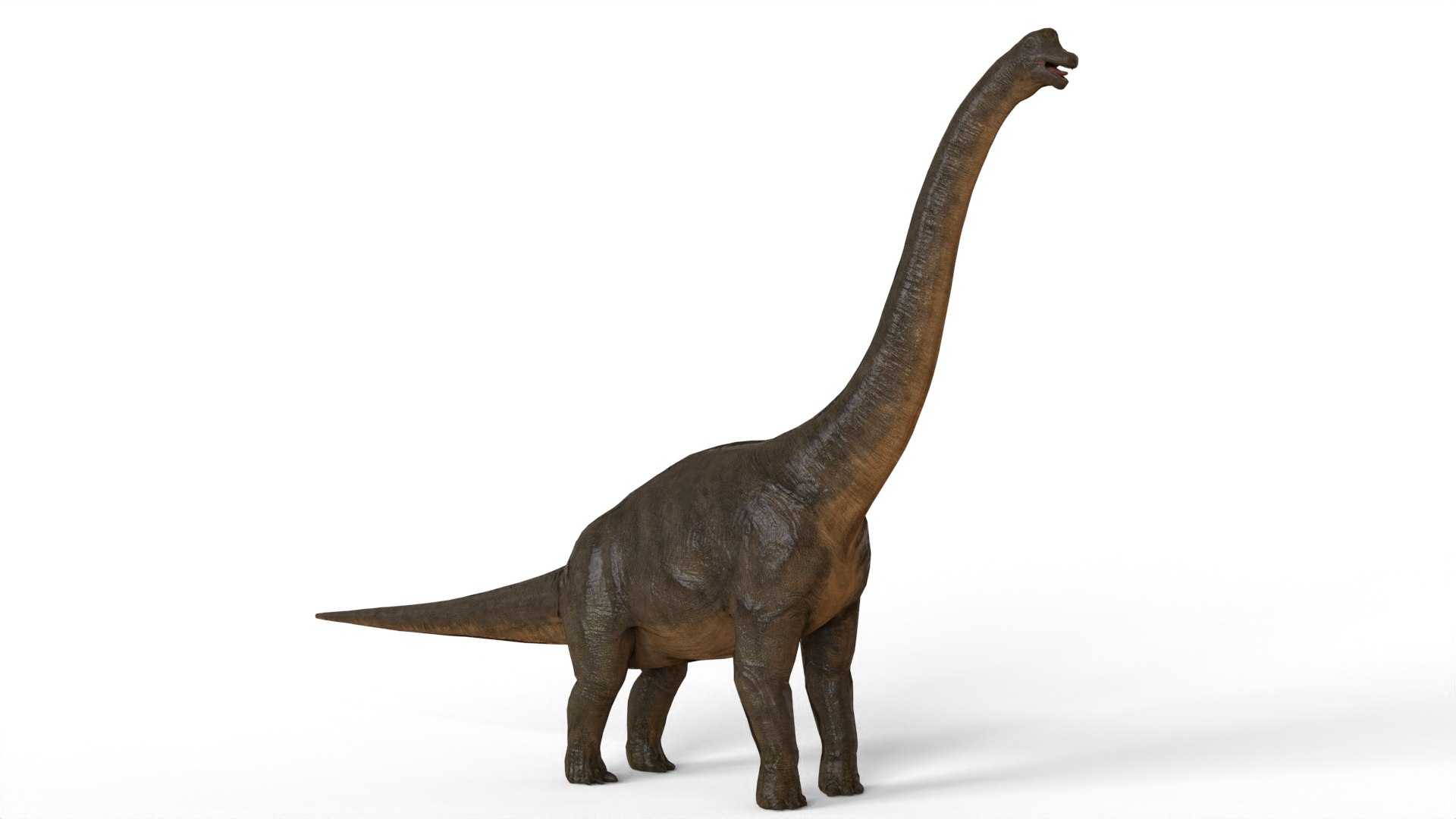 Brachiosaurus model - TurboSquid 2074466