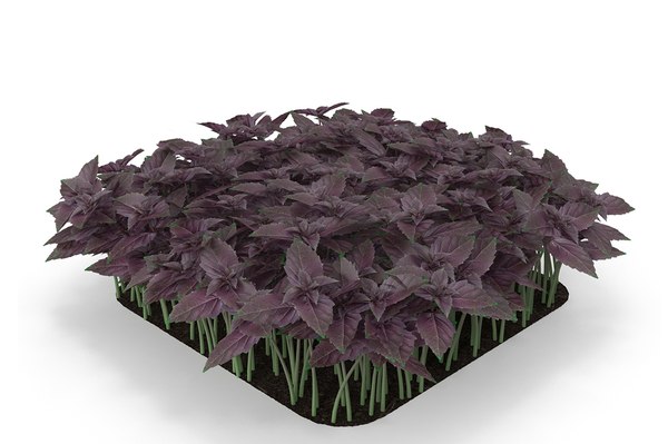 3D Opal Models | TurboSquid