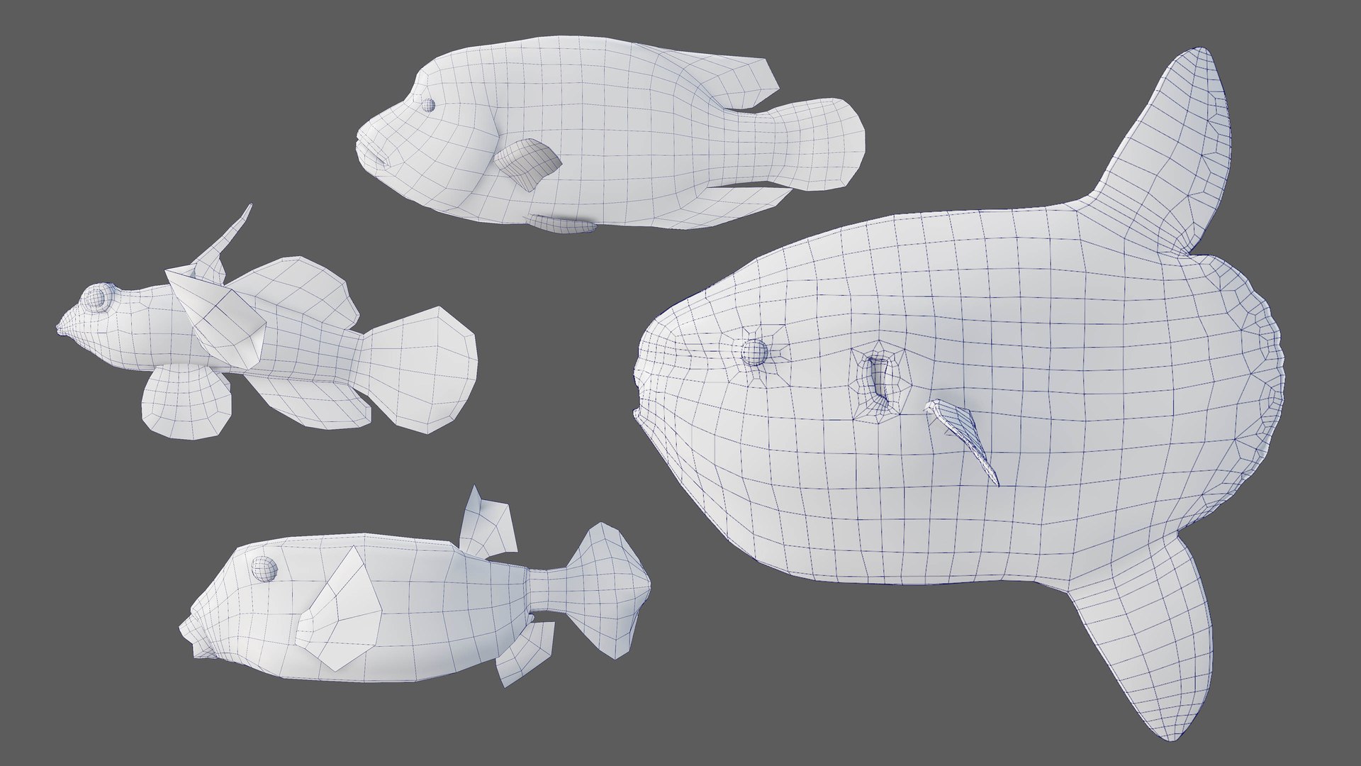 3D Global Reef Fish Collection Pack 24 - TurboSquid 2431965