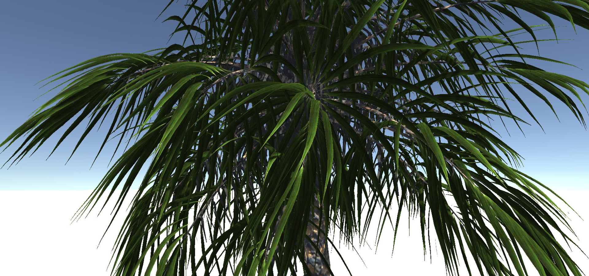 3d palm tree