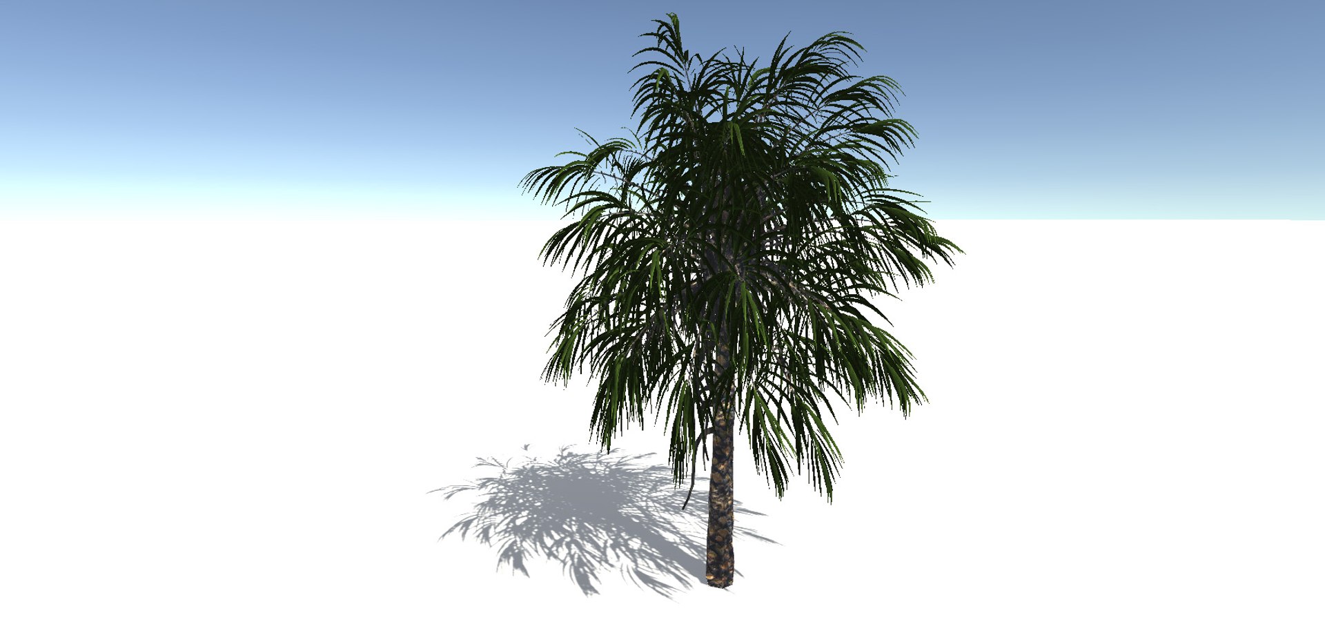 3d palm tree