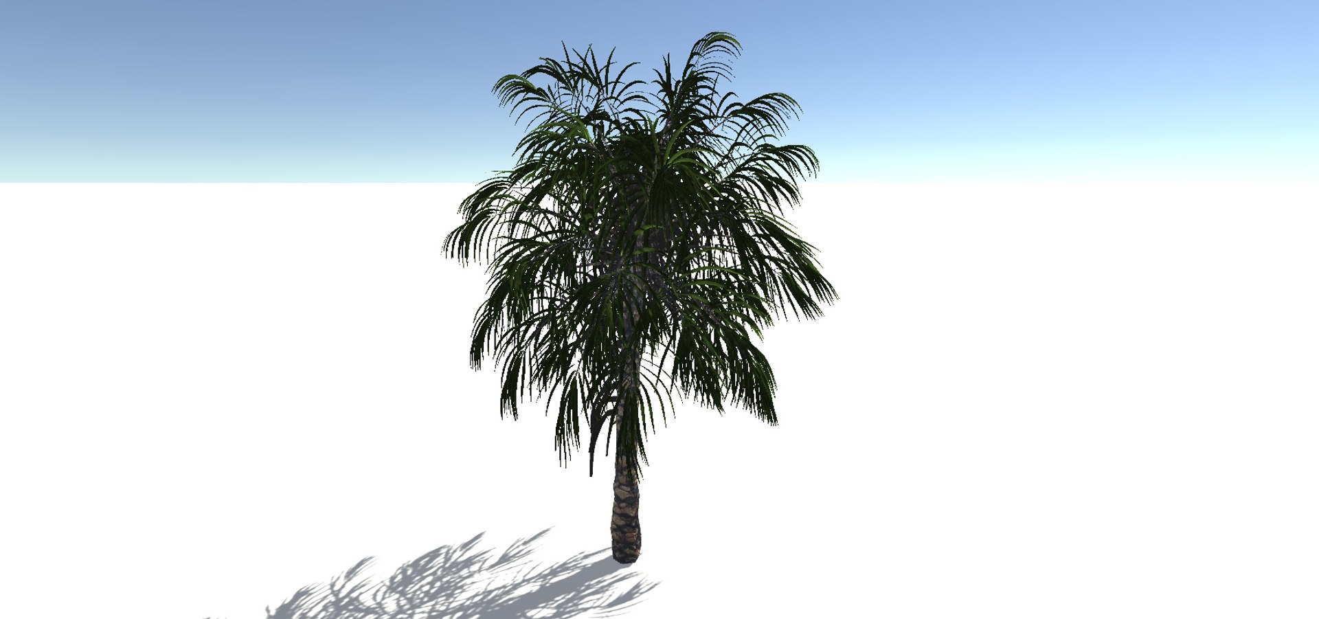 3d palm tree