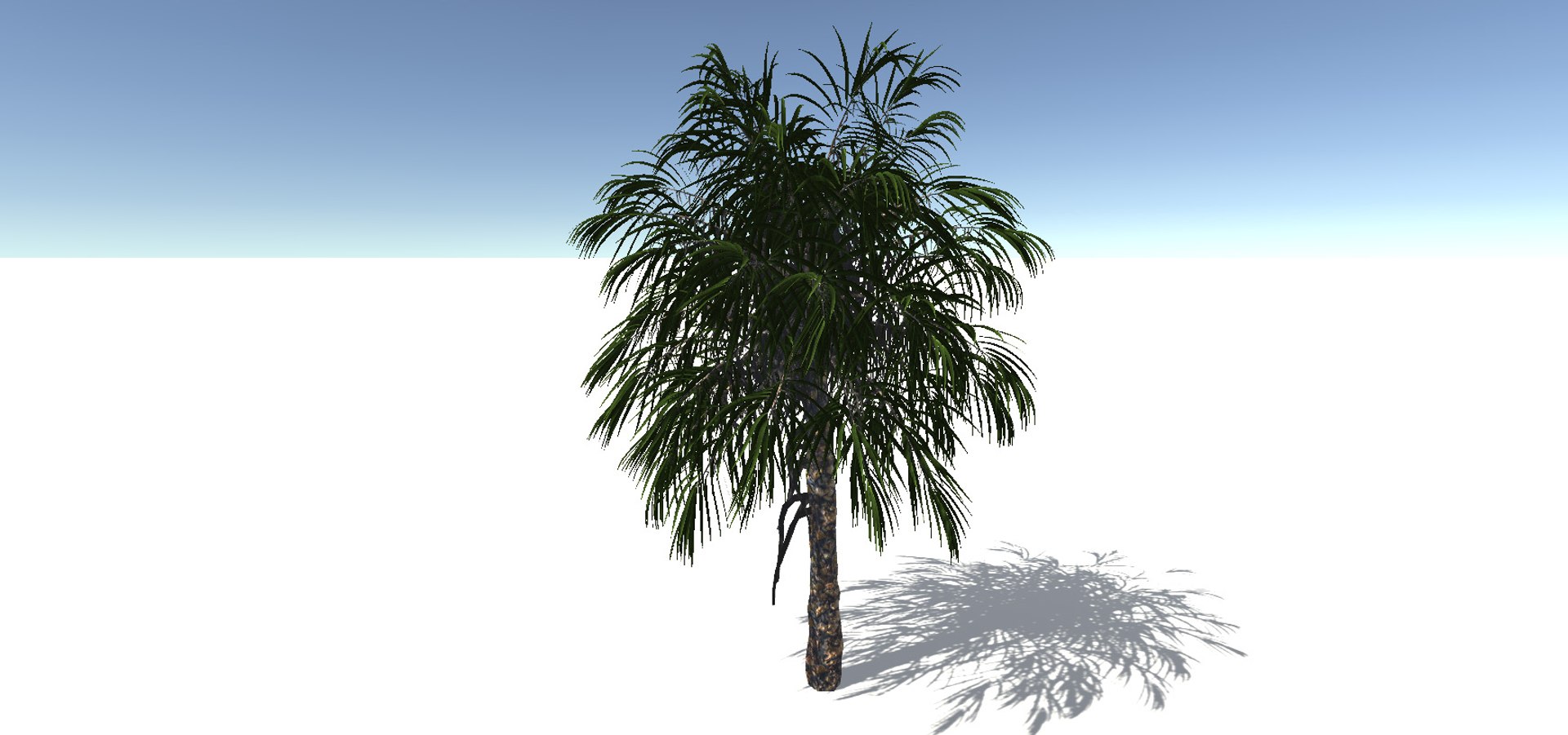 3d palm tree