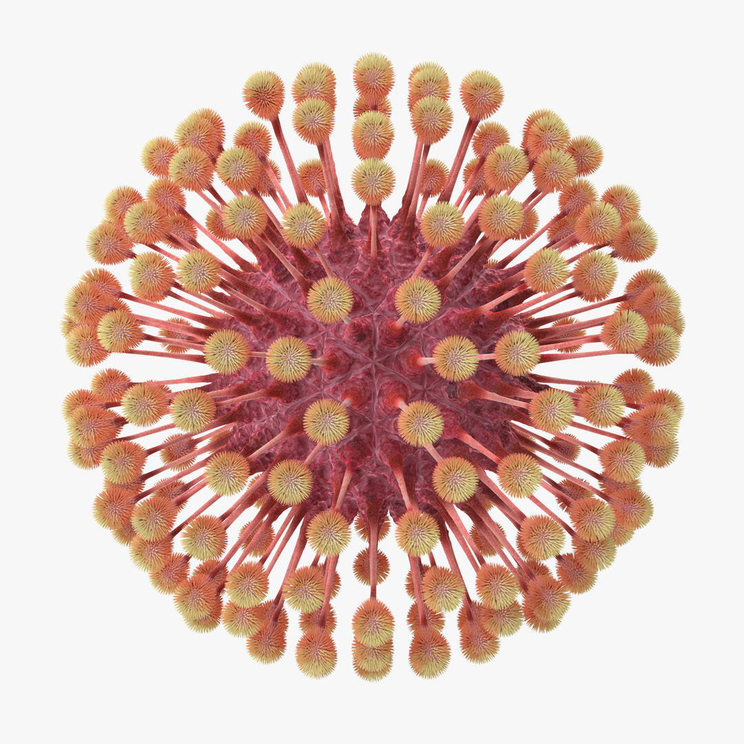 13 viruses virus 3d model